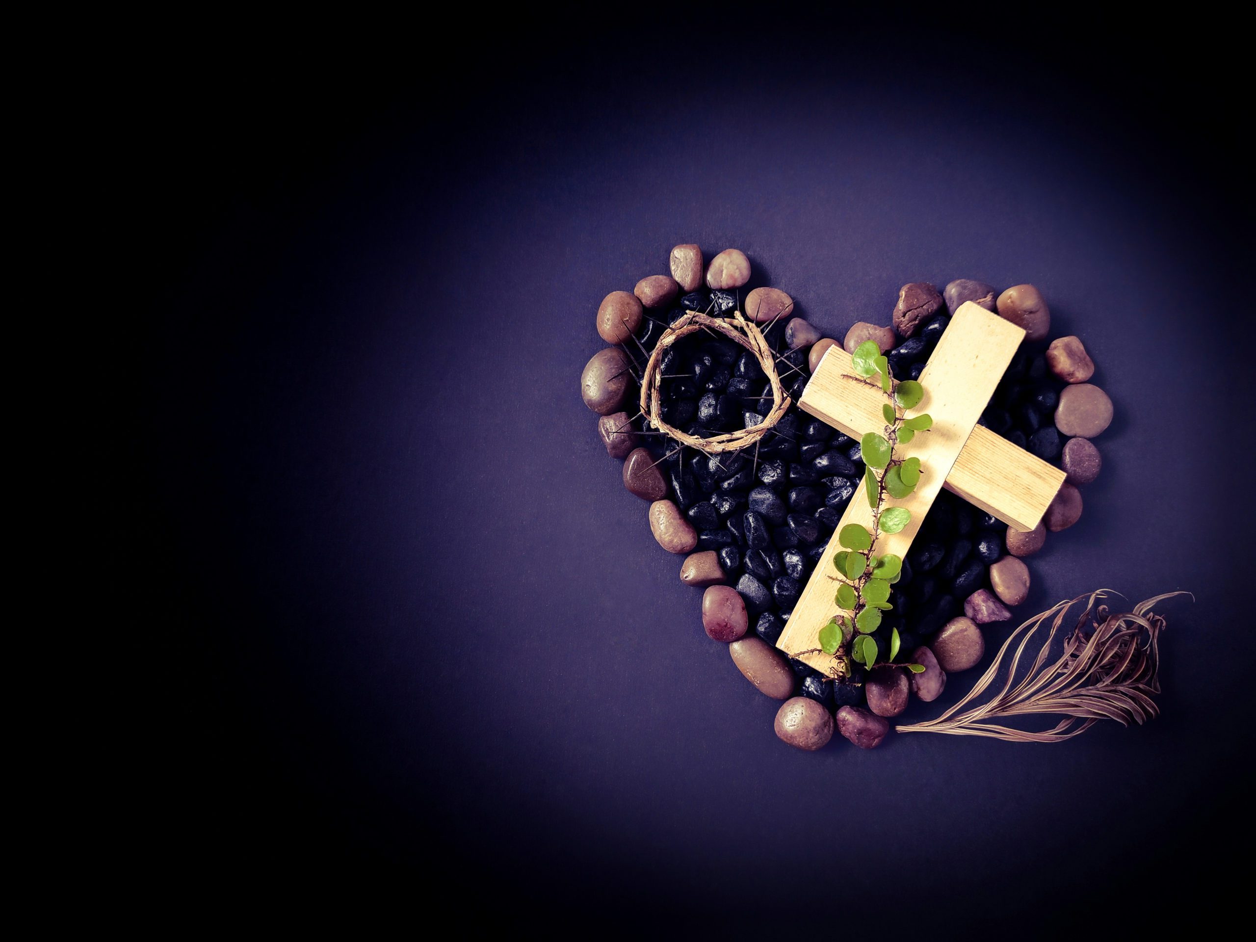 Lenten Reflection with Chaplain, Fr. Philip Schumaker | Milwaukee Guild ...